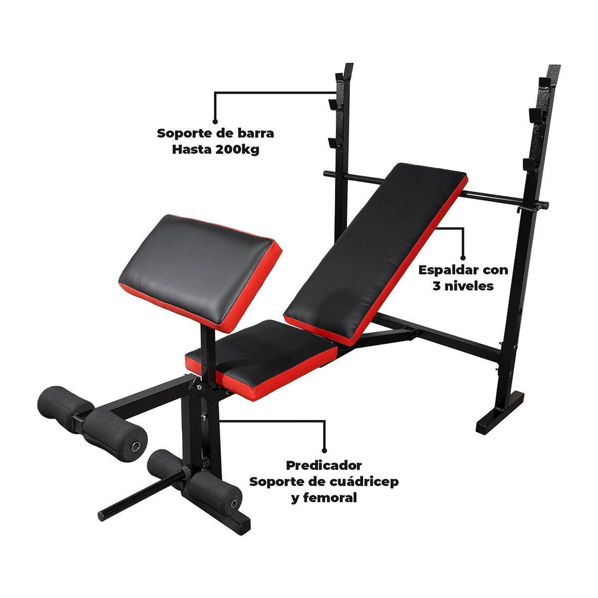 Banco De Pecho Multifuncional Con Predicador – Soporte De Cuádriceps Y ...